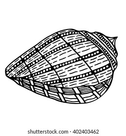 Zentangle Stylized Shell Hand Drawn Aquatic Stock Vector (Royalty Free ...