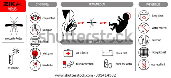 Zika Virus Infographicvector Stock Vector (Royalty Free) 381414382 ...
