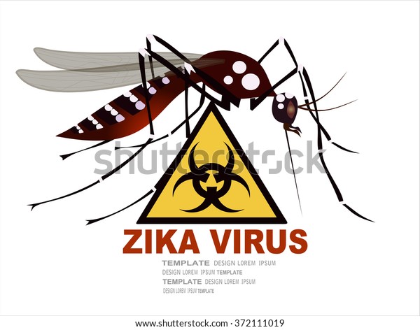 Zika Virus Warning Sign Vector Stock Vector (Royalty Free) 372111019 ...
