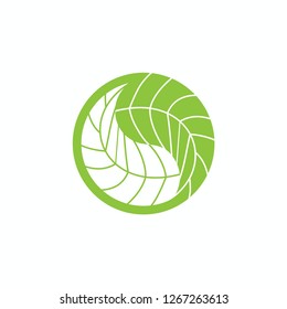 Zing Stock Vectors, Images & Vector Art | Shutterstock