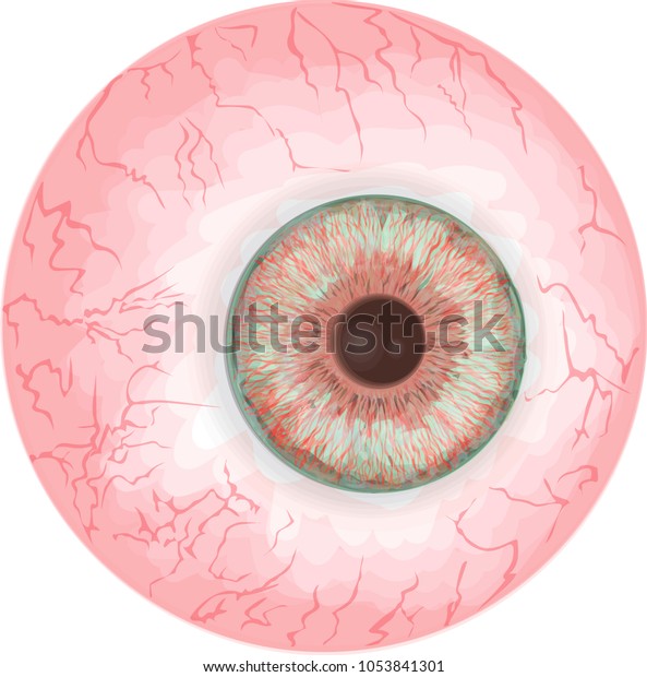 Zombie Eye Vector Eyeball Stock Vector (Royalty Free) 1053841301 ...