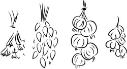 Japanese Honeysuckle Drawing Sketch Coloring Page