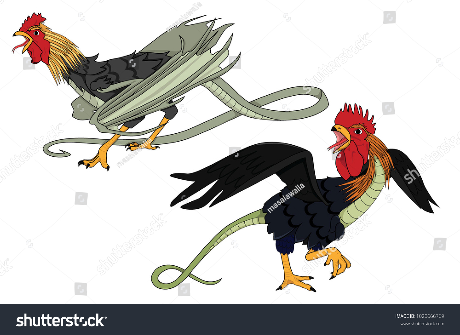 Two Cockatrice Illustrations Stock Vector Royalty Free 1020666769 Shutterstock
