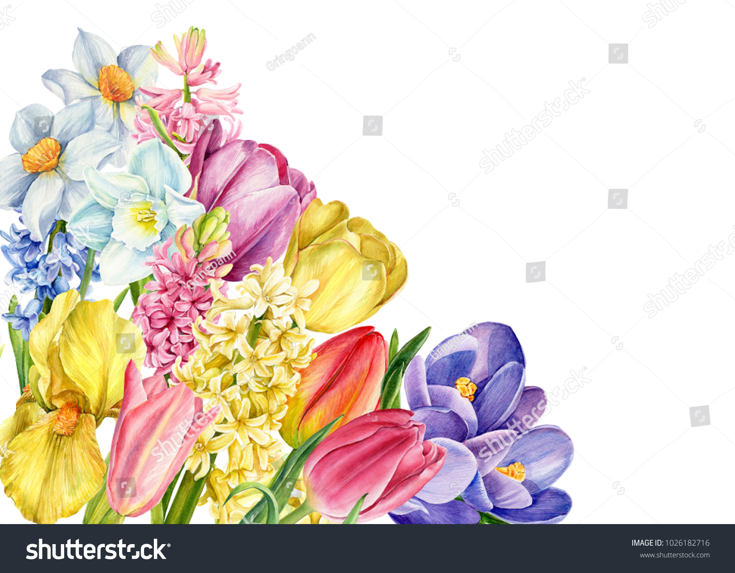 Bouquet Spring Flowers Watercolor Illustration Botanical Stock ...