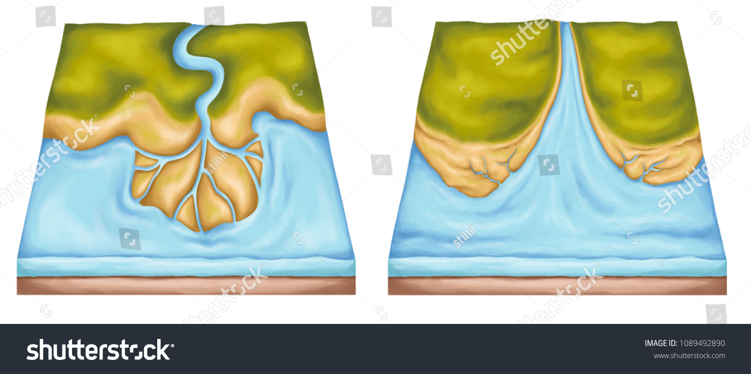 Delta River Delta Section Coastline Estuary Stock Illustration ... Delta River Delta Section Coastline Estuary Stock Illustration ...