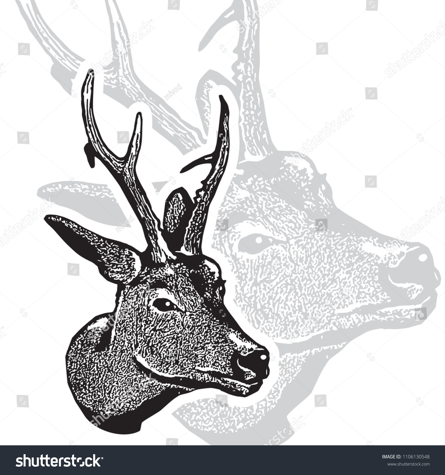 Deer Head Graphic Engraving Isolated On Stock Vector (Royalty Free ... Deer Head Graphic Engraving Isolated On Stock Vector (Royalty Free ...