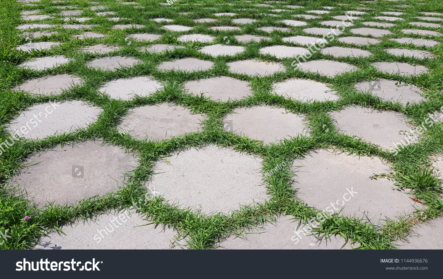 Perfect Structure Hexagon Path Thick Green ภาพสต็อก 1144936676 Shutterstock