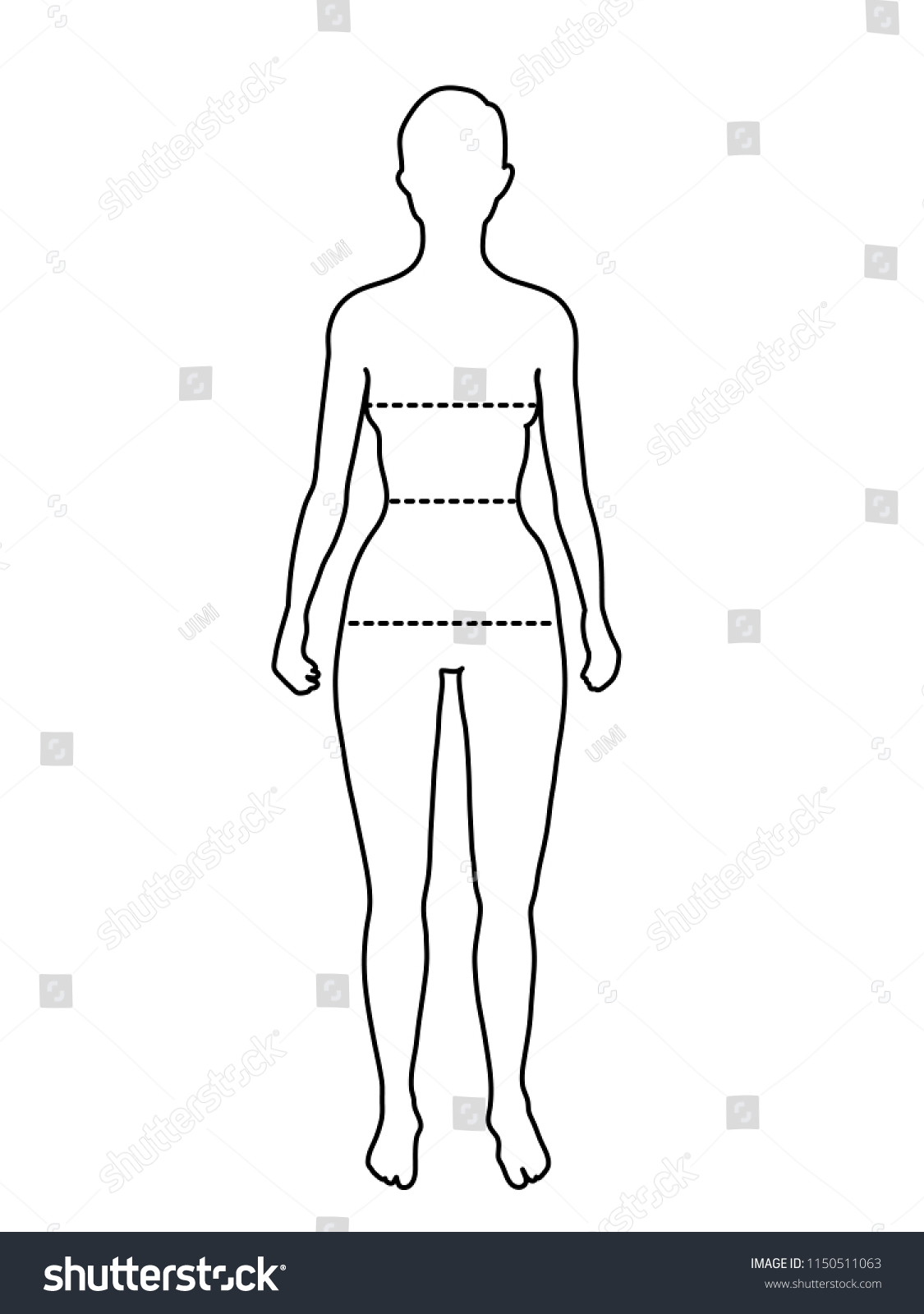 Women Size Chart On Silhouette Outline เวกเตอร์สต็อก ปลอดค่าลิขสิทธิ์ 1150511063 Shutterstock