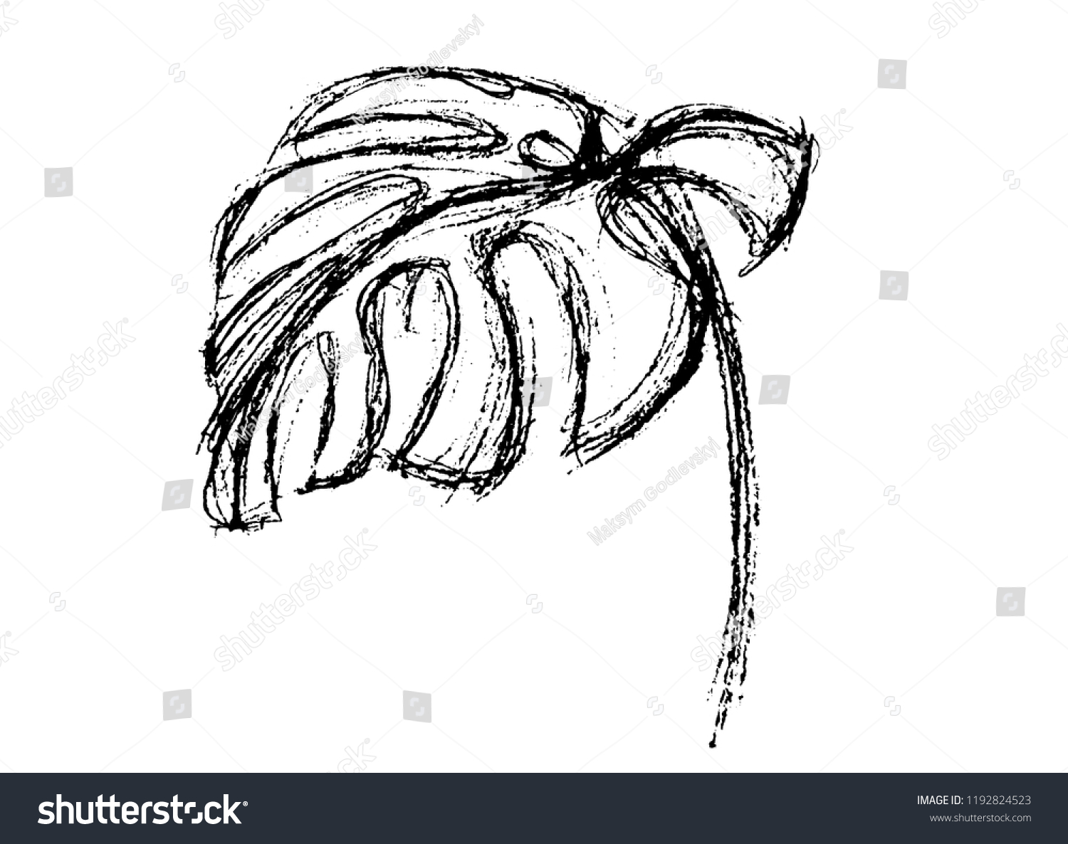 Monstera Plant Sketch Vector Drawing Stock Vector Royalty Free 1192824523 Shutterstock
