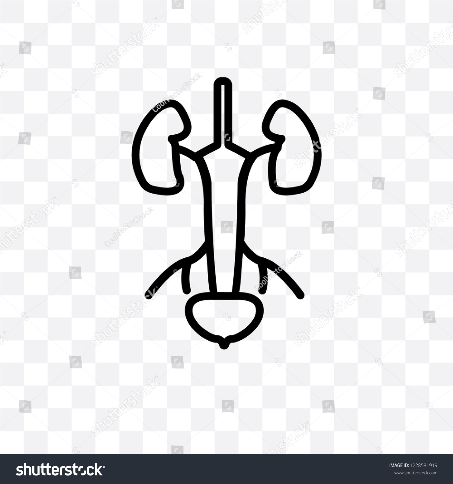 Excretory System Vector Linear Icon Isolated Stock Vector (Royalty Free ... Excretory System Vector Linear Icon Isolated Stock Vector (Royalty Free ...