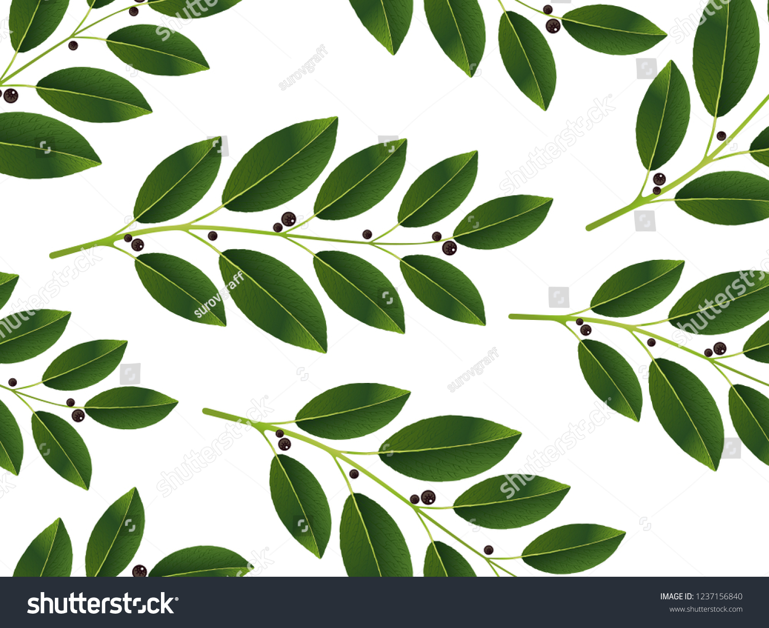 Bay Leaf Vector Seamless Texture Stock Vector (Royalty Free) 1237156840 ...