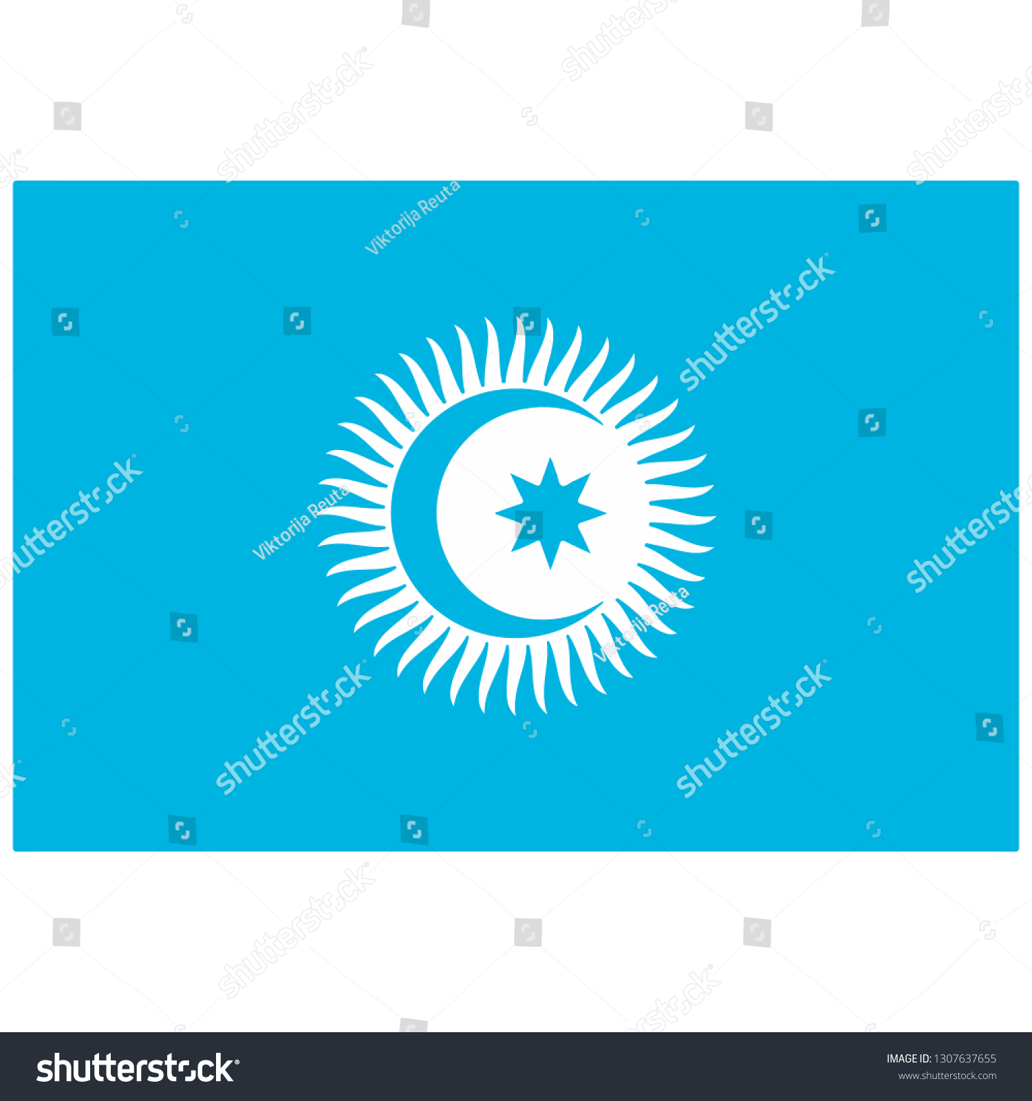 Raster Flag Cooperation Council Turkic Speaking Stock Illustration