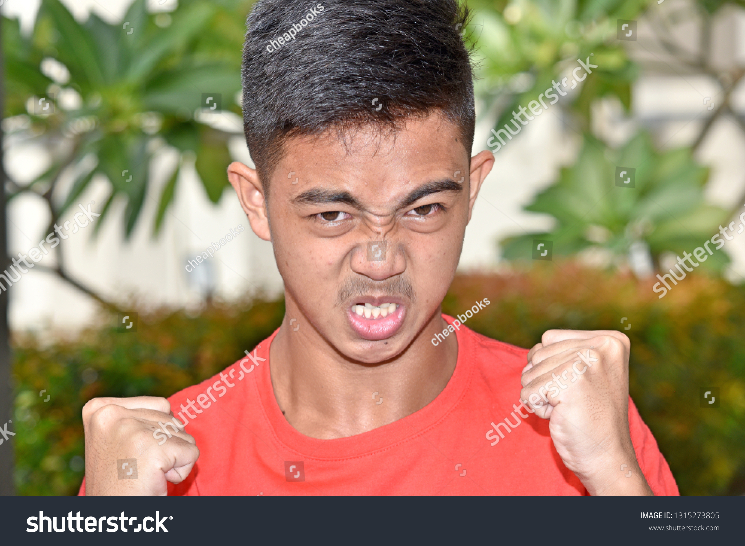 Young Diverse Teen Boy Anger Stock Photo 1315273805 | Shutterstock Young Diverse Teen Boy Anger Stock Photo 1315273805 | Shutterstock