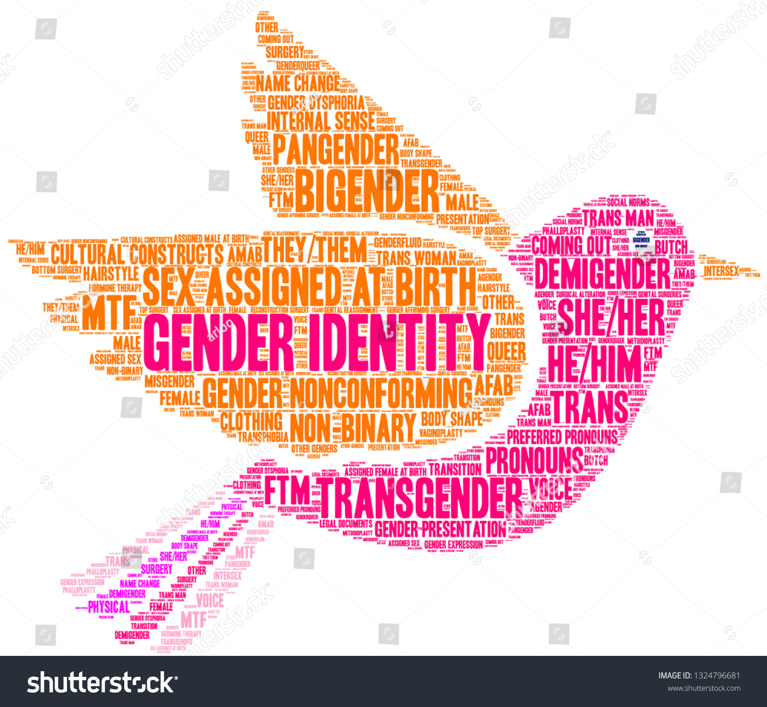 Gender Identity Word Cloud On White Stock Vector Royalty Free