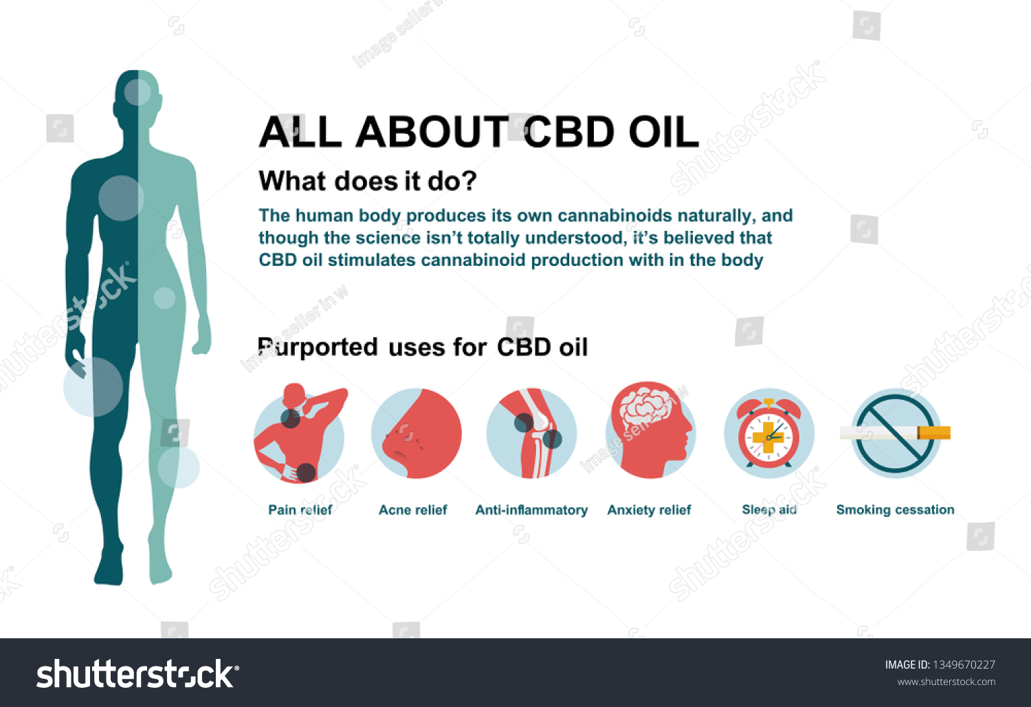 How Hemp Cbd Oil Can Help Stock Vector Royalty Free 1349670227 Shutterstock
