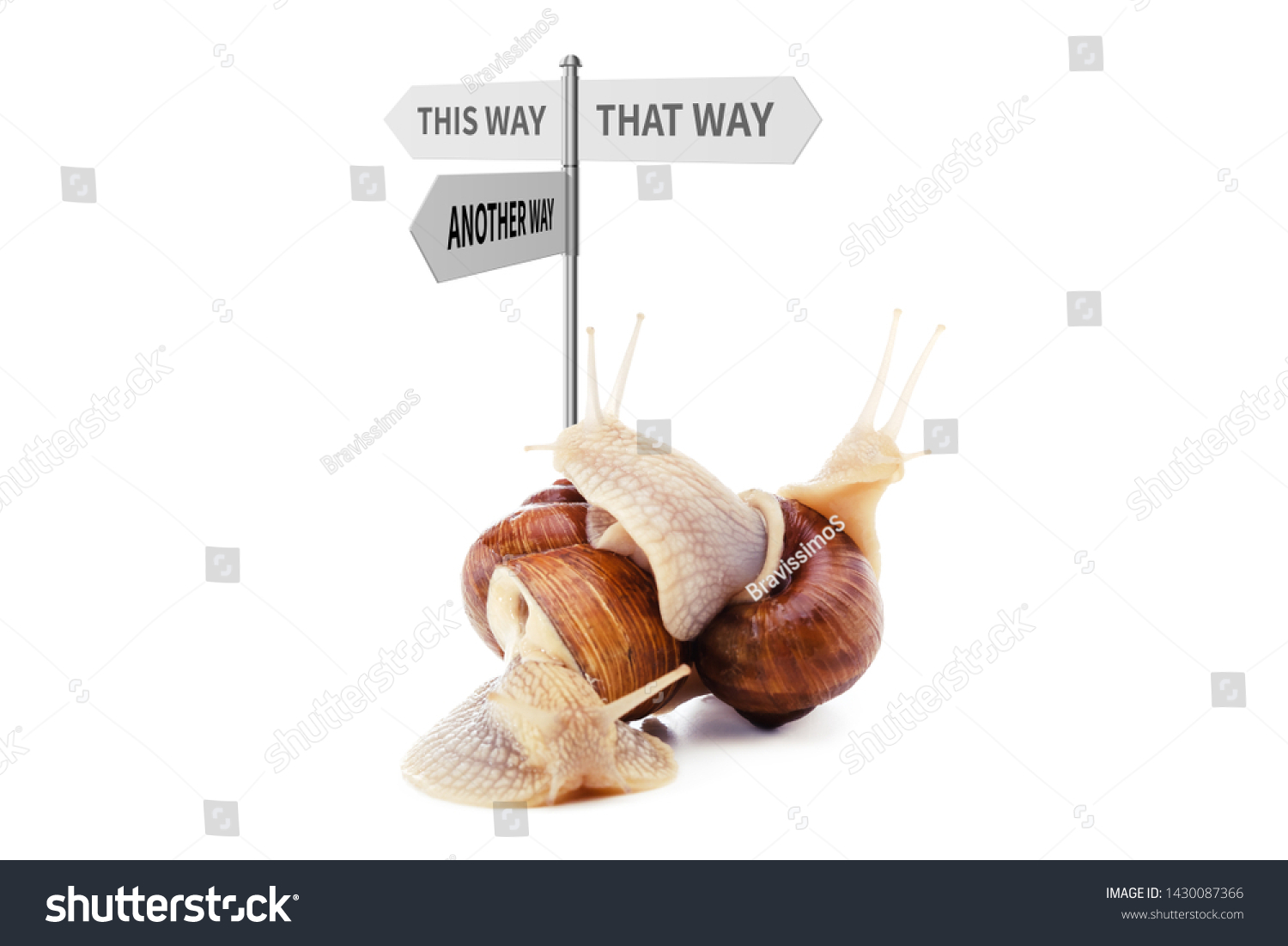 Crossroad Signpost Saying This Way That Stock Photo 1430087366 ... Crossroad Signpost Saying This Way That Stock Photo 1430087366 ...