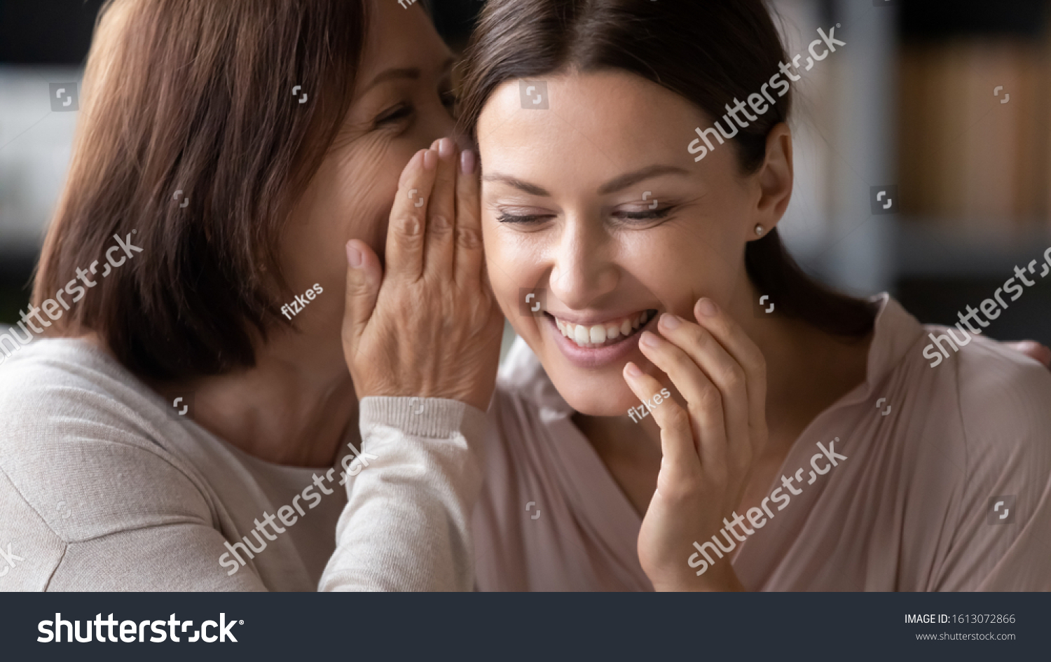 10 Cuddling Curios Immagini Foto Stock E Grafica Vettoriale
