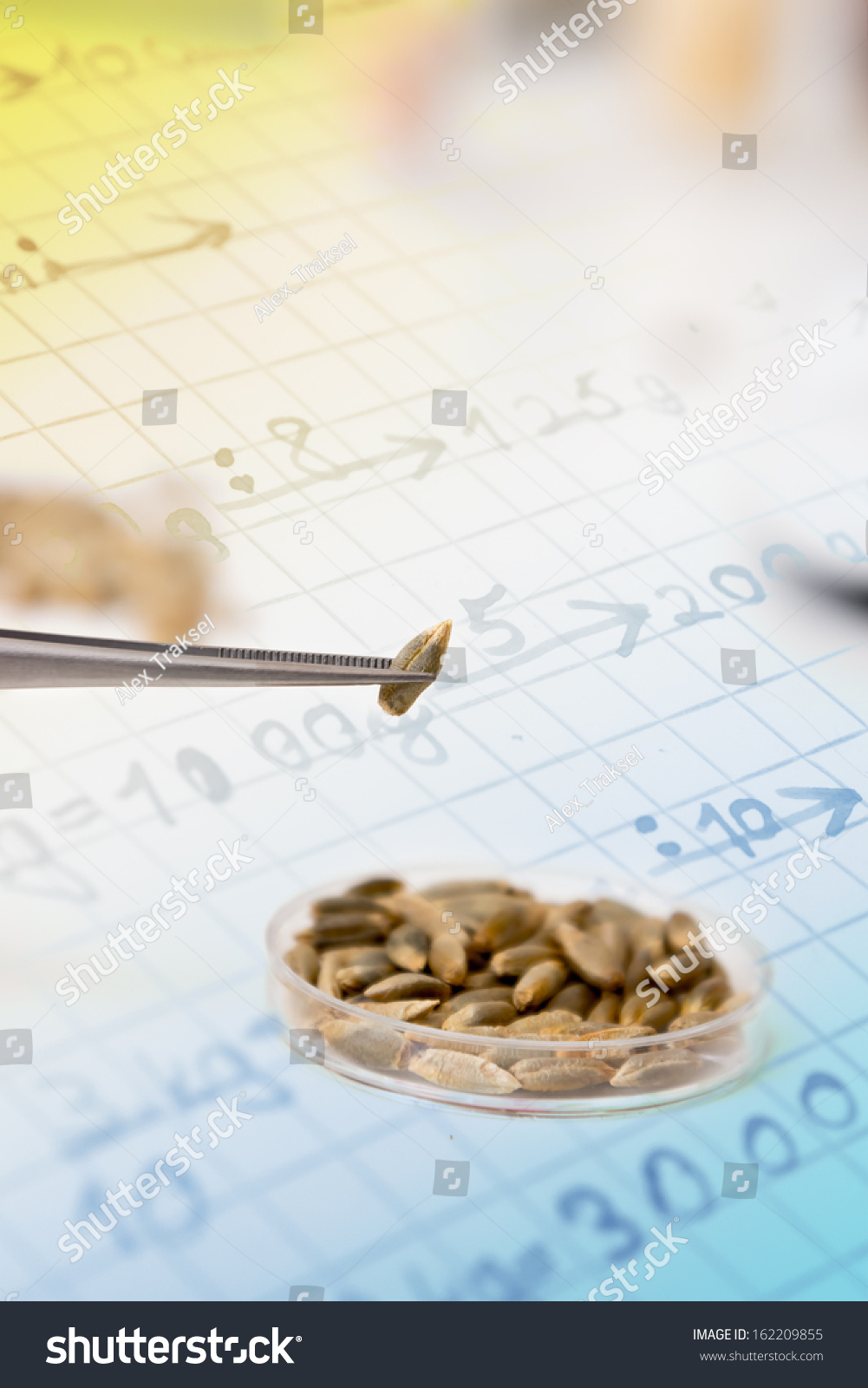 Microbiological Testing Food Quality Stock Photo 162209855 | Shutterstock Microbiological Testing Food Quality Stock Photo 162209855 | Shutterstock