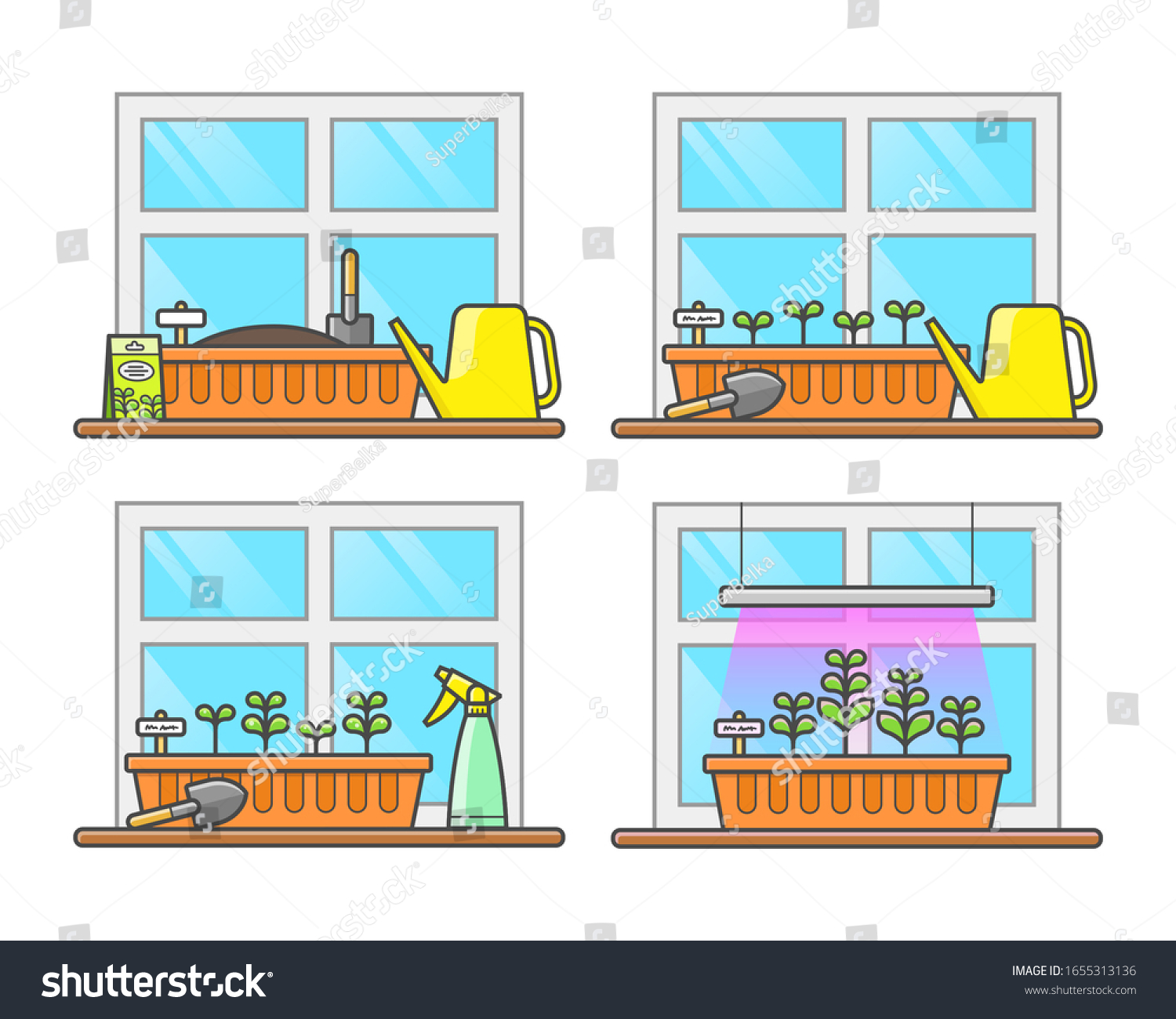 Stages Growing Plants Home On Window Stock Vector (Royalty Free ... Stages Growing Plants Home On Window Stock Vector (Royalty Free ...