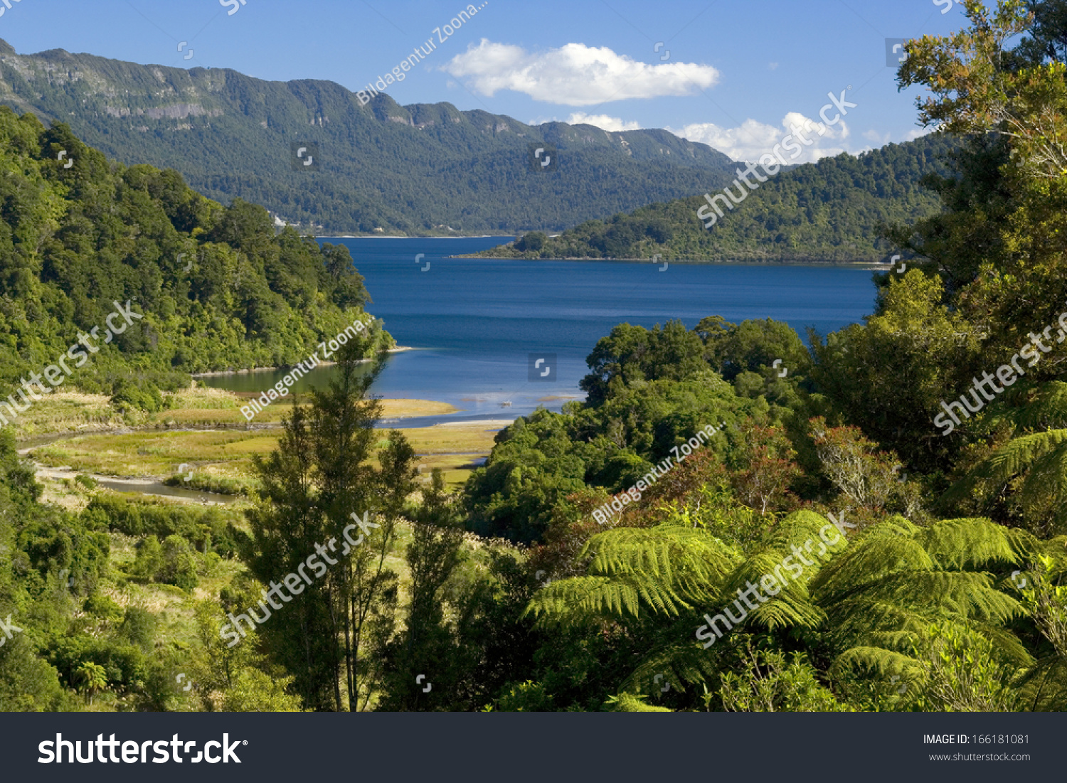 2 afbeeldingen voor Te urewera nationalpark: afbeeldingen, stockfoto‘s en vectoren | Shutterstock