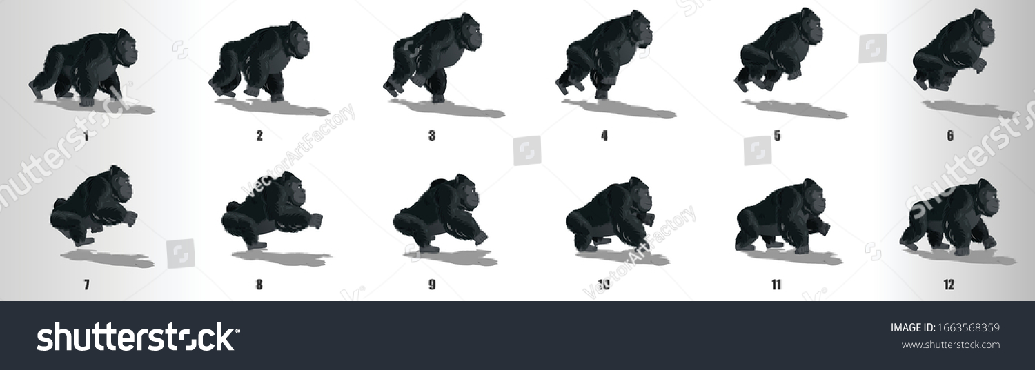 Gorilla Run Cycle Animation Frames Loop: เวกเตอร์สต็อก (ปลอดค่า ...