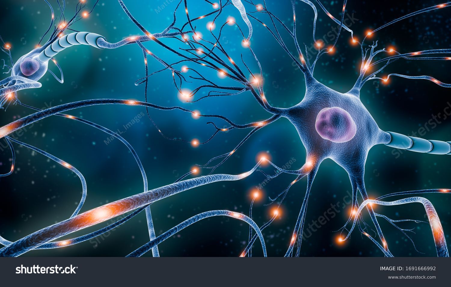 Neuronal Network Electrical Activity Neuron Cells Stock Illustration ... Neuronal Network Electrical Activity Neuron Cells Stock Illustration ...