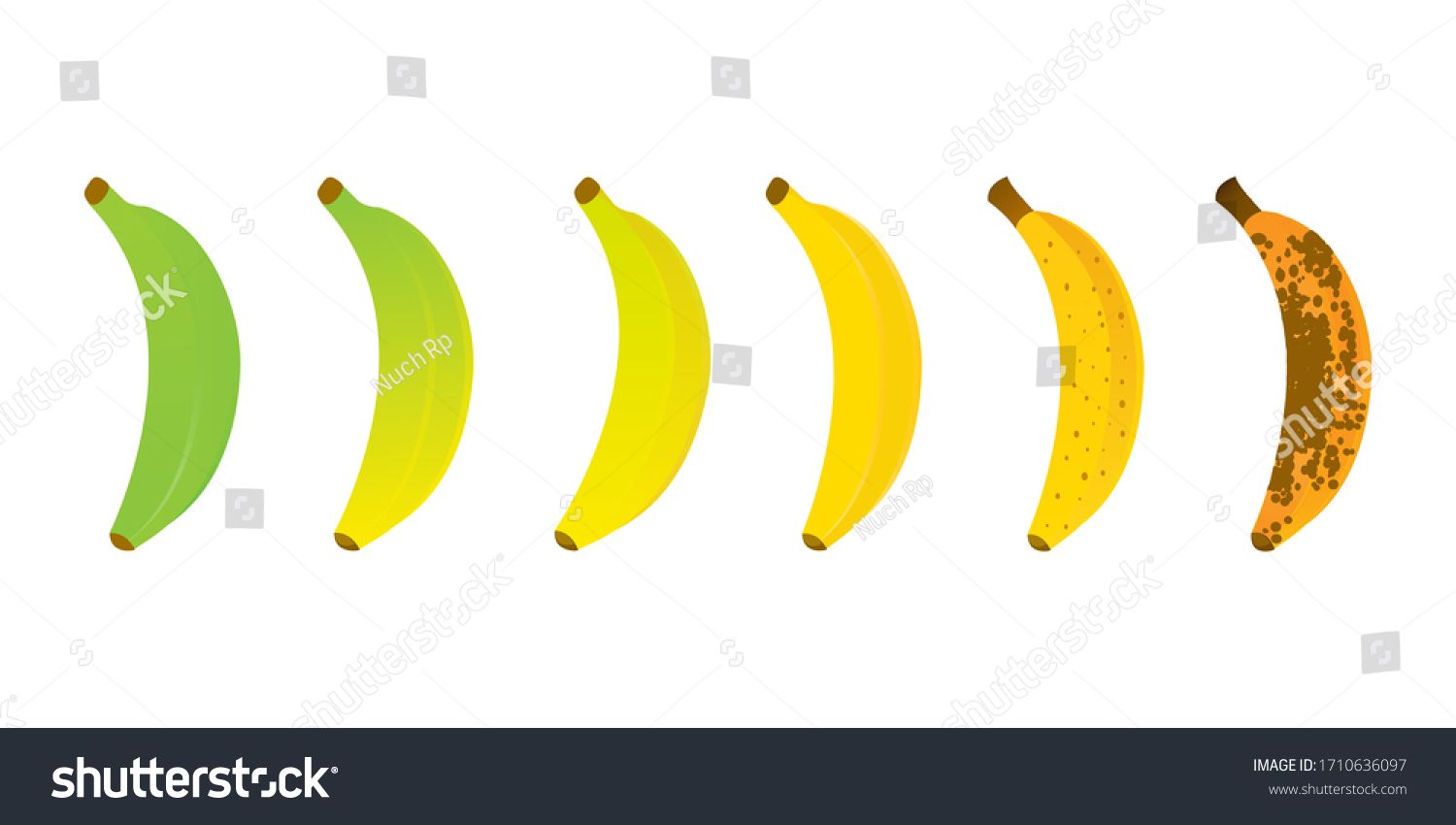 Banana Ripeness Chart Vector Illustration Set: стоковая векторная ...
