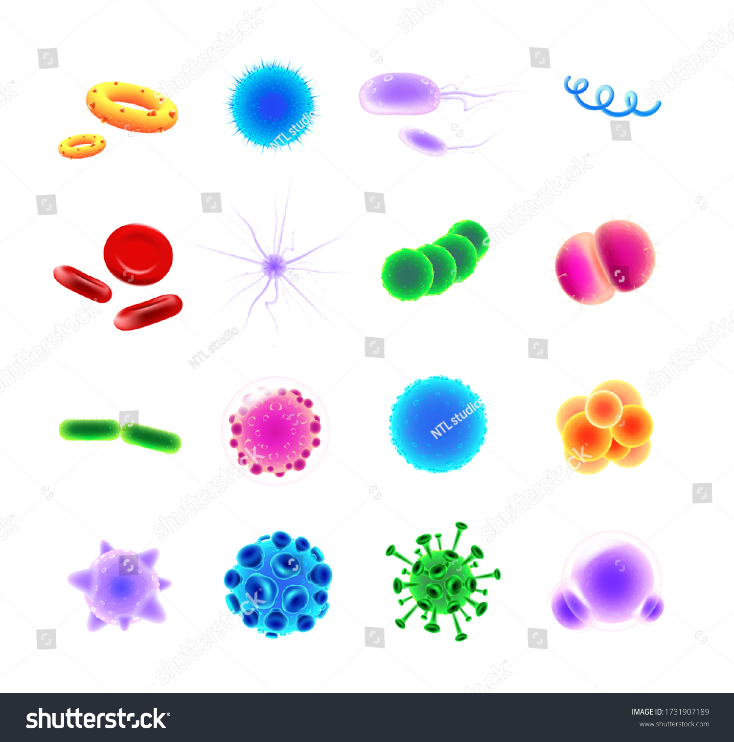Bacteria Types Realistic Vector Icons Set Stock Vector Royalty Free