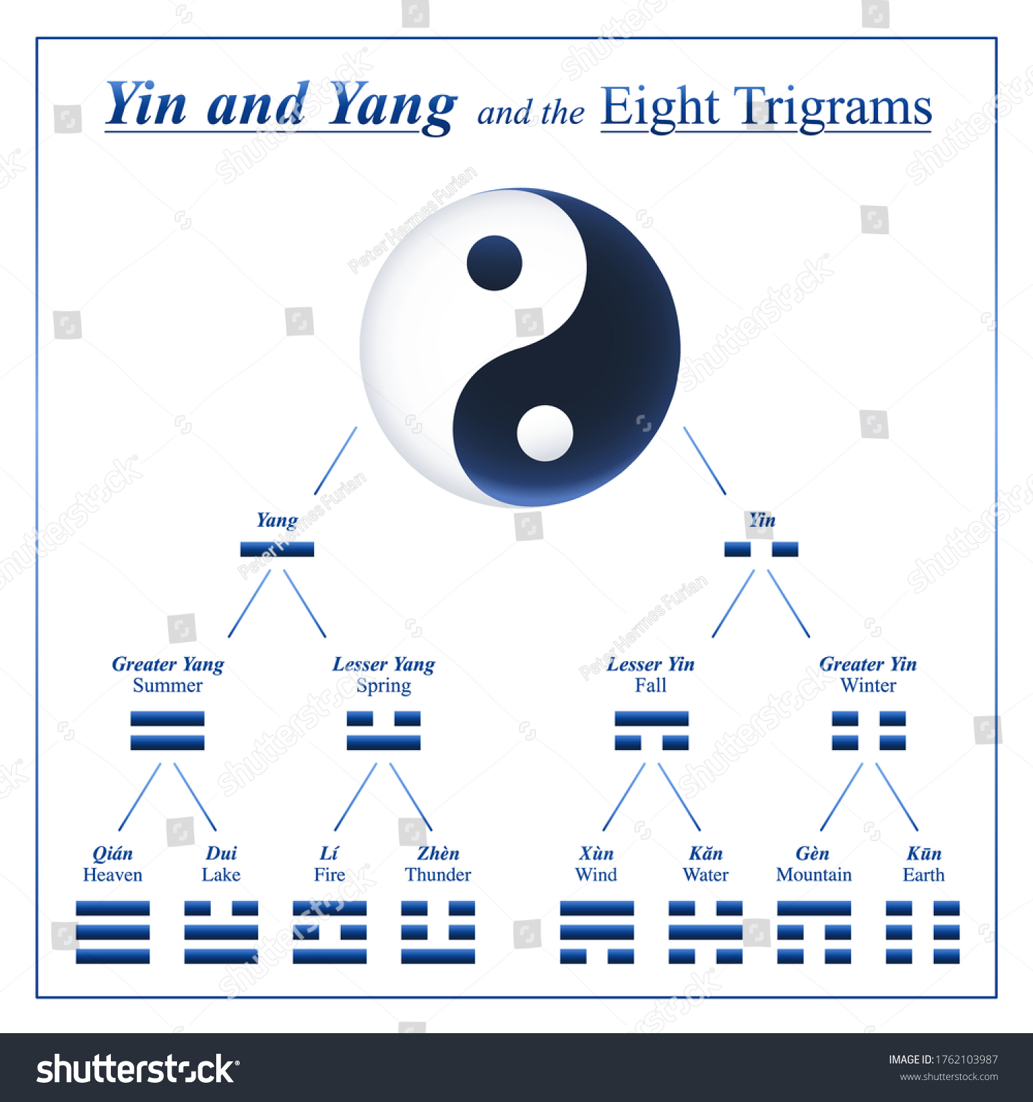 Yin Yang Combinations Development Composition Eight Stock Vector ... Yin Yang Combinations Development Composition Eight Stock Vector ...