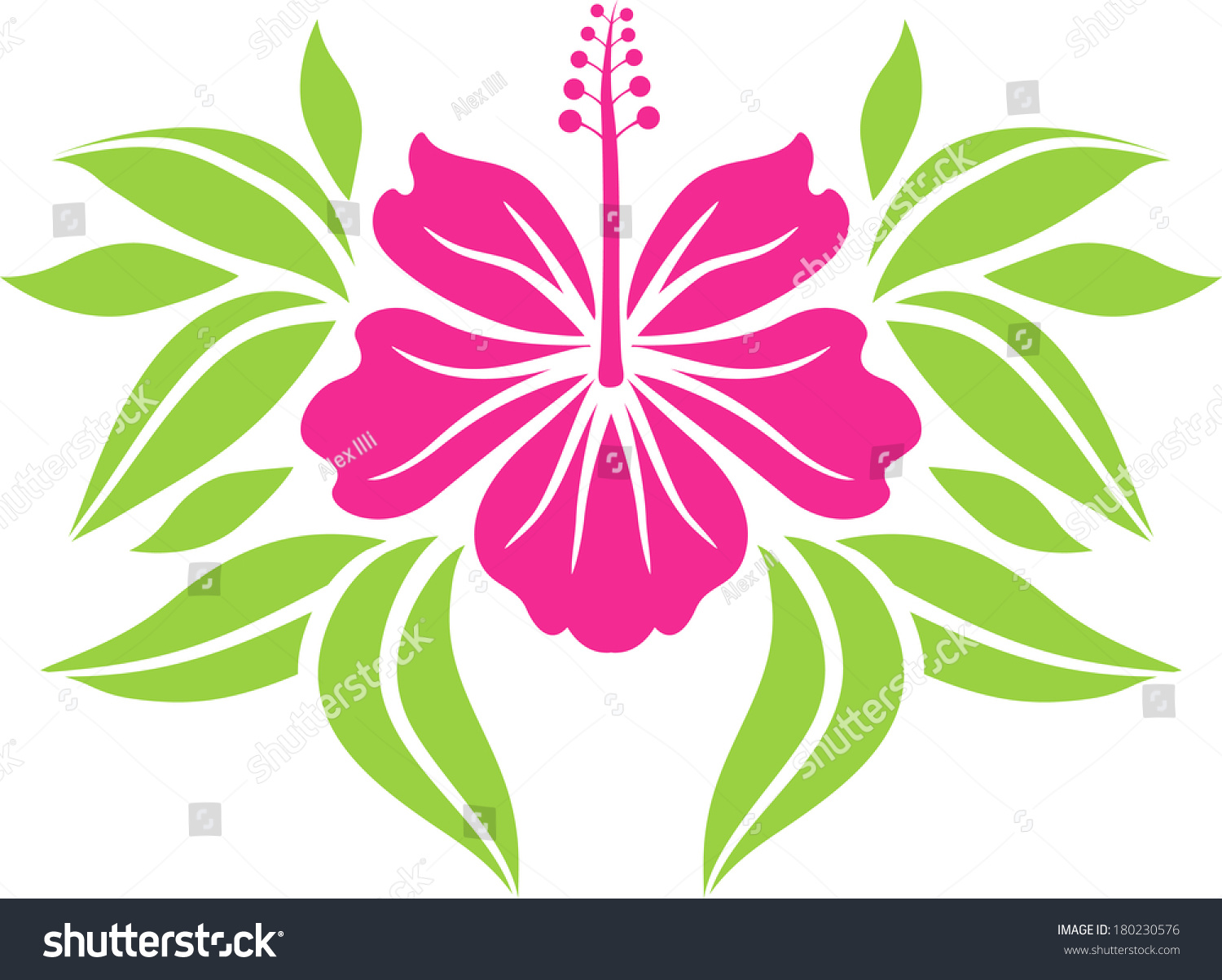 Hibiscus Flower Stock Vector Royalty Free 180230576 Shutterstock