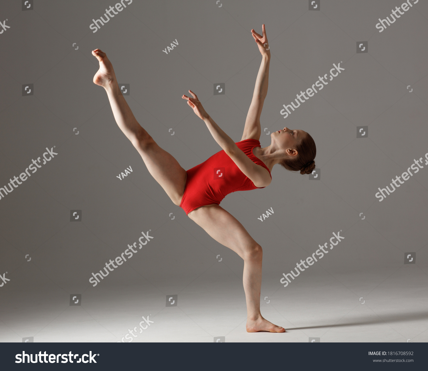 Young Gymnast Girl Stretching Training Foto Stock 1816708592 Shutterstock