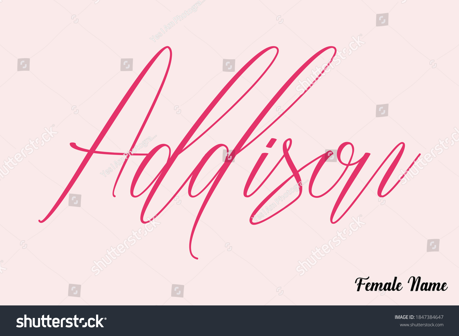 Addisonfemale Name Calligraphy Cursive Dork Pink Stock Vector (Royalty ... Addisonfemale Name Calligraphy Cursive Dork Pink Stock Vector (Royalty ...