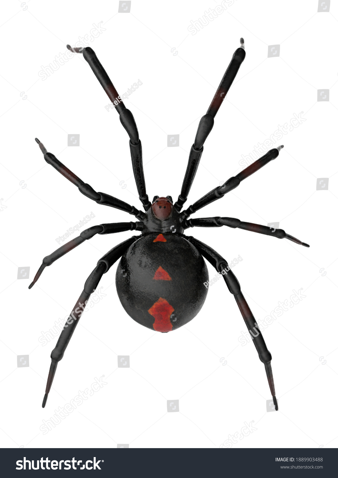 Black Widow Spider 3d Illustration On Stock Illustration 1889903488 Shutterstock
