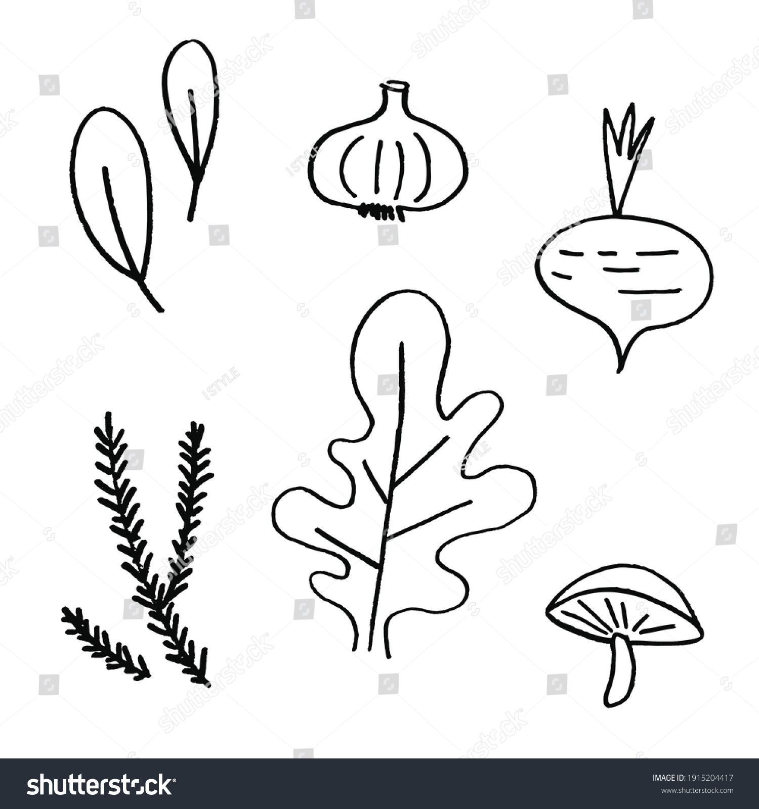Vegetable Hand Drawing Vector Set Easy: เวกเตอร์สต็อก (ปลอดค่าลิขสิทธิ์ ... Vegetable Hand Drawing Vector Set Easy: เวกเตอร์สต็อก (ปลอดค่าลิขสิทธิ์ ...