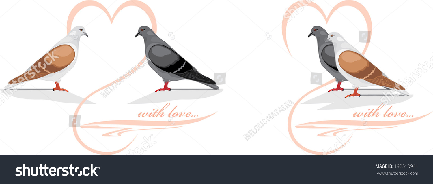 Two Loving Doves Vector: เวกเตอร์สต็อก (ปลอดค่าลิขสิทธิ์) 192510941 ...