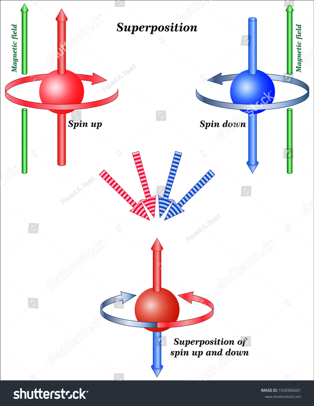 Quantum Superposition Fundamental Principle Quantum Mechanics Stock Vector (Royalty Free ...