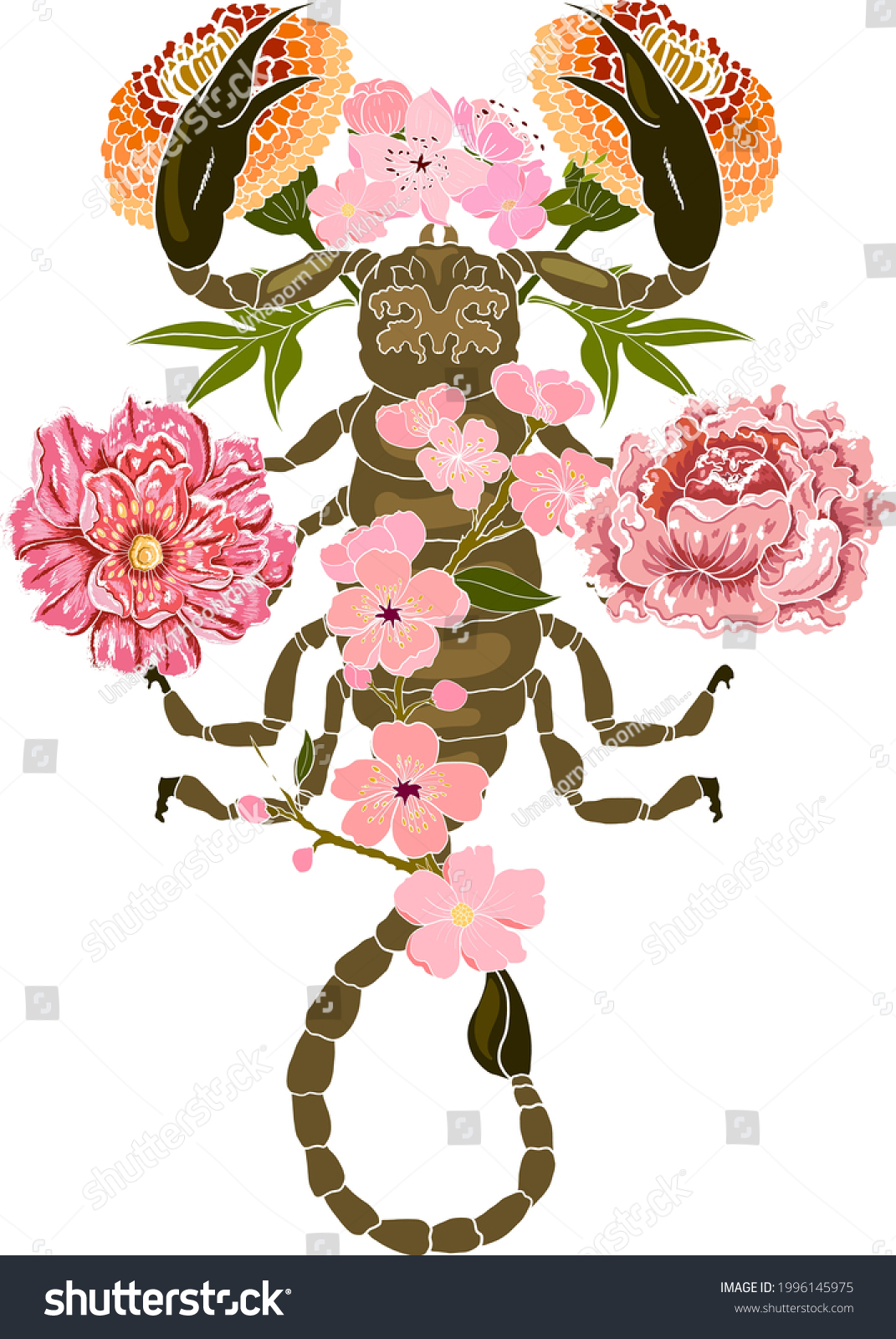 Scorpio Vector Astrology Designhoroscope Circle Signs Stock Vector