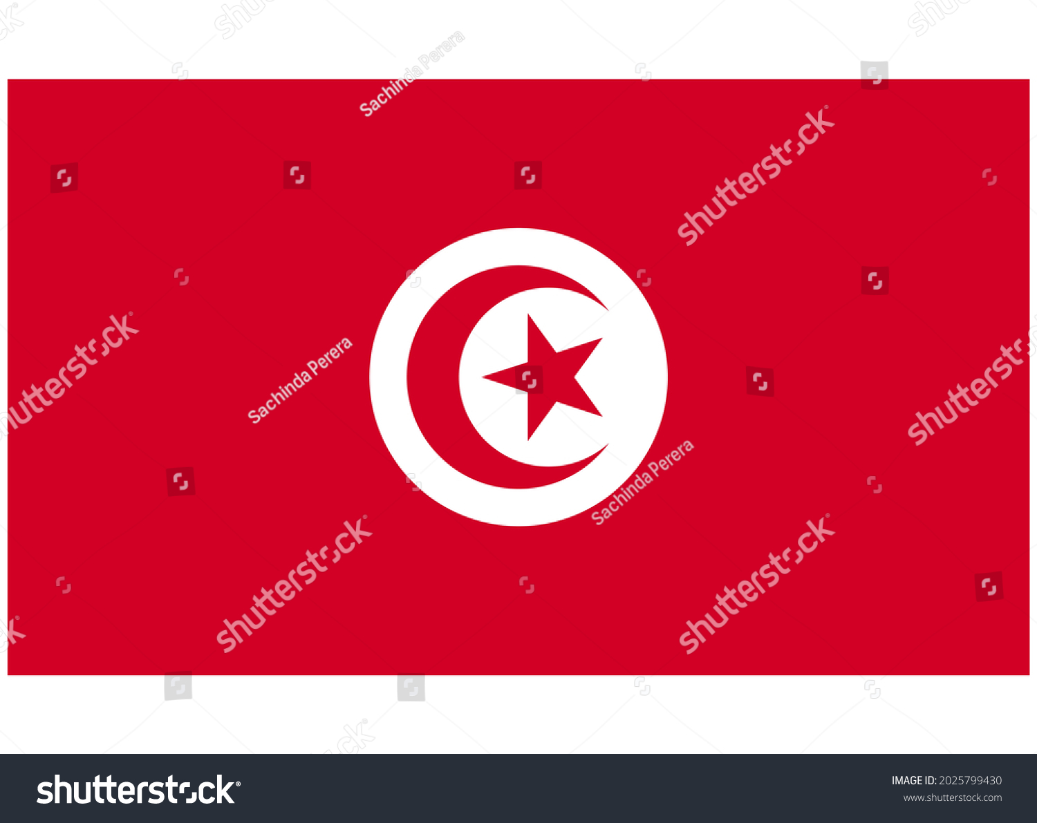 Tunisia National Flag Isolated Vector Image Stock Vector Royalty Free