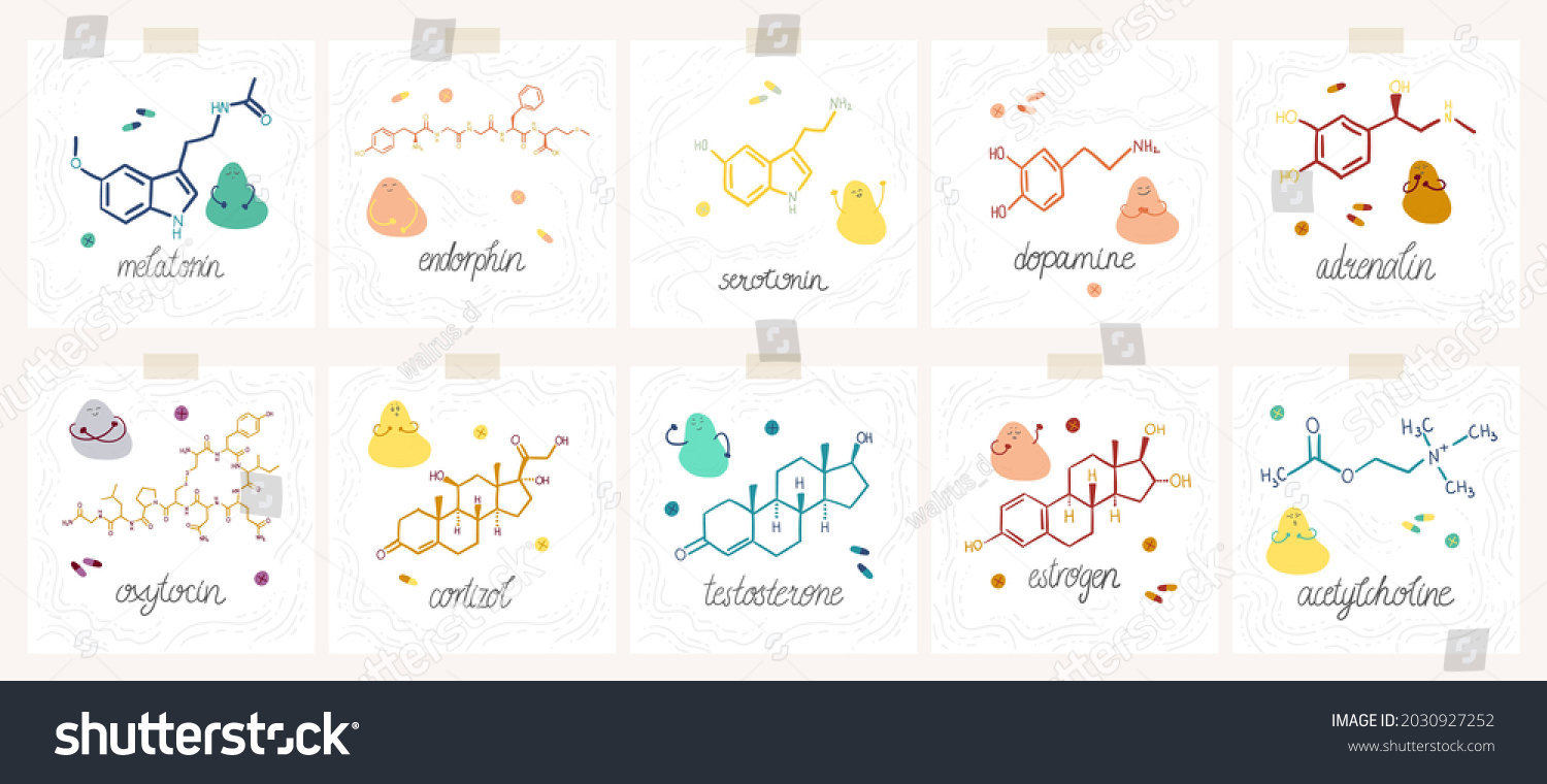 Set Cards Doodle Illustration Hormones Neurotransmitters Stock Vector ... Set Cards Doodle Illustration Hormones Neurotransmitters Stock Vector ...