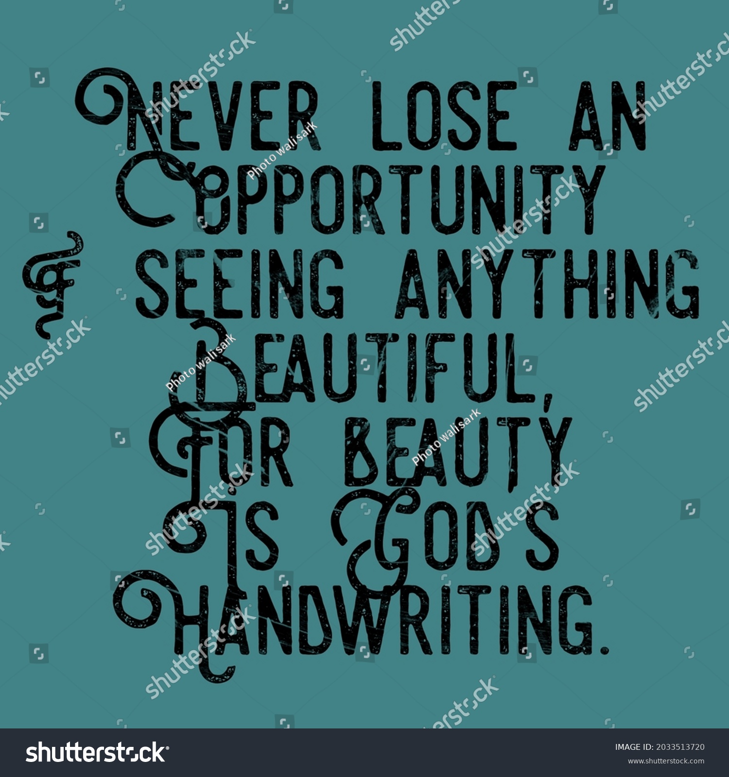 Never Lose Opportunity Seeing Anything Beautiful Stock Illustration