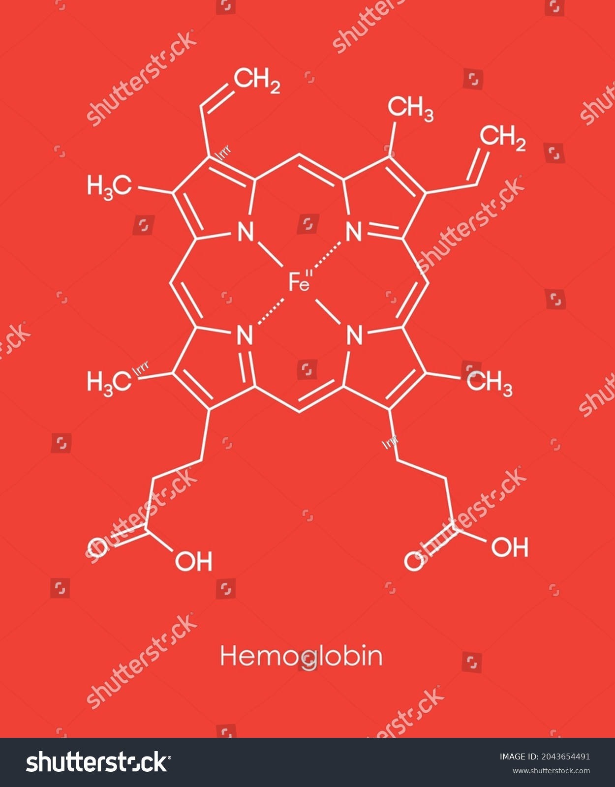 Chemical Structure Hemoglobin Haemoglobin 库存矢量图(免版税)2043654491 Shutterstock