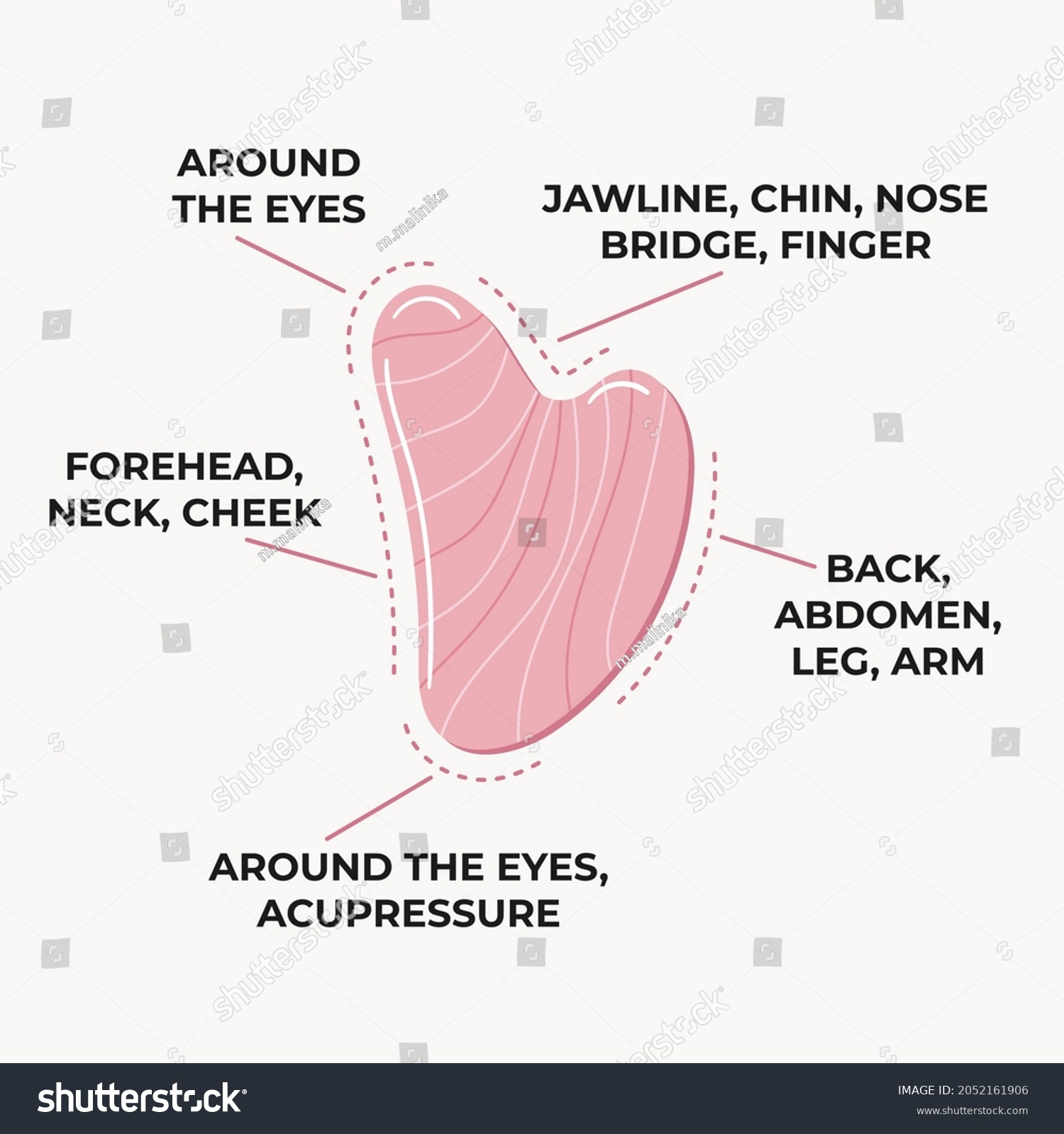 Infographic How Use Gua Sha Scraping Stock Vector Royalty Free