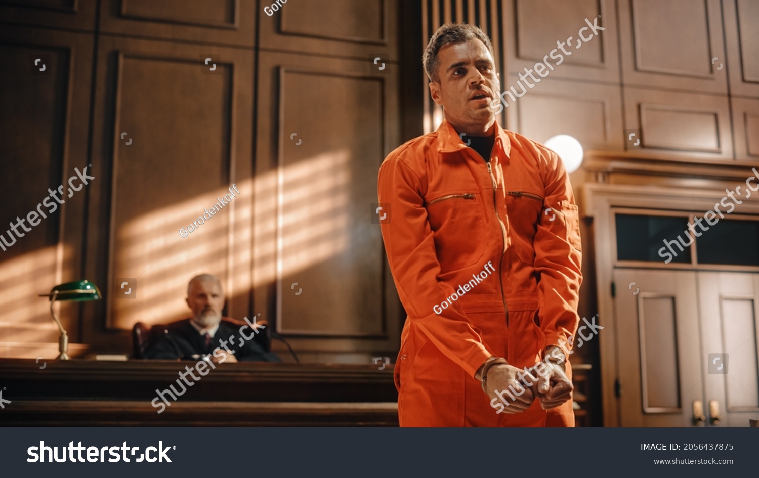 Court Law Justice Trial Proceedings Portrait Stock Photo 2056437875 ... Court Law Justice Trial Proceedings Portrait Stock Photo 2056437875 ...
