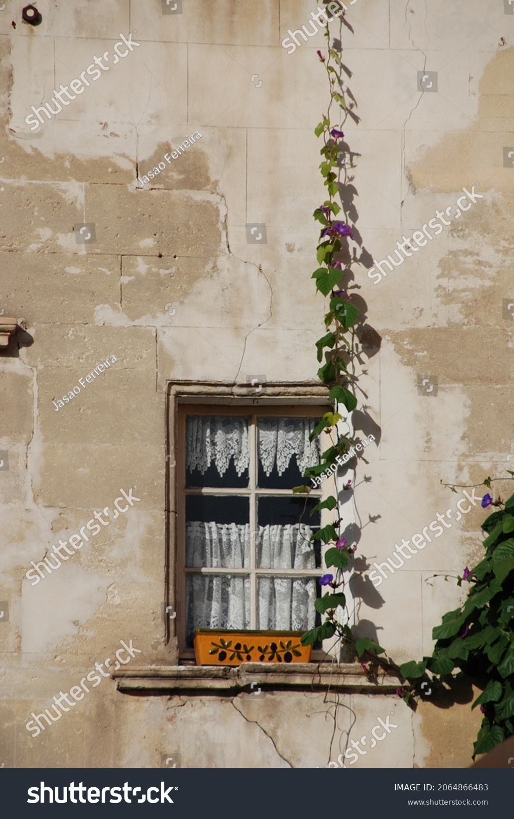 Different Types Windows Facades Some Houses Stock Photo 2064866483 ... Different Types Windows Facades Some Houses Stock Photo 2064866483 ...
