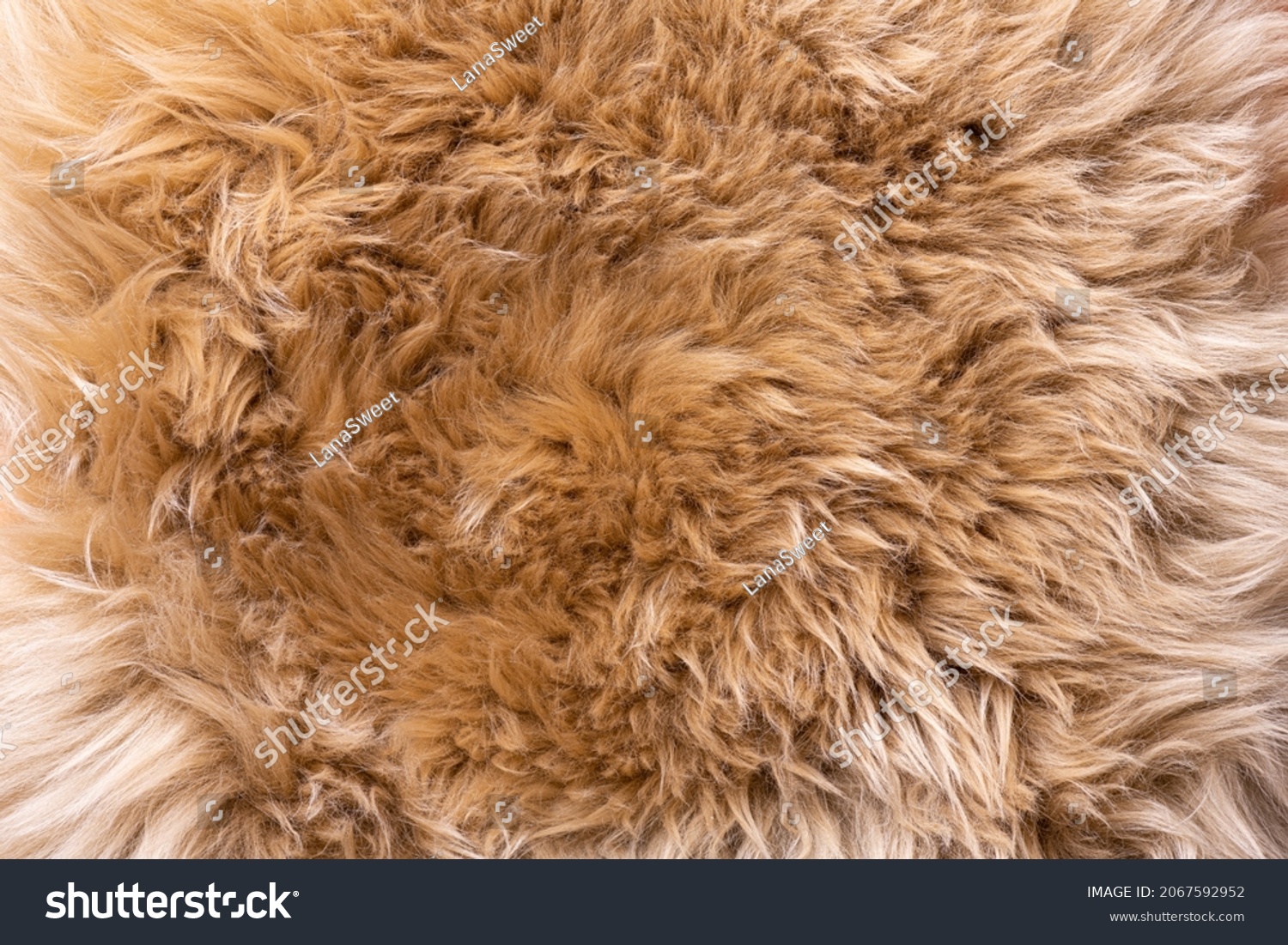 Fur Texture Top View Brown Fur Stock Photo 2067592952 | Shutterstock