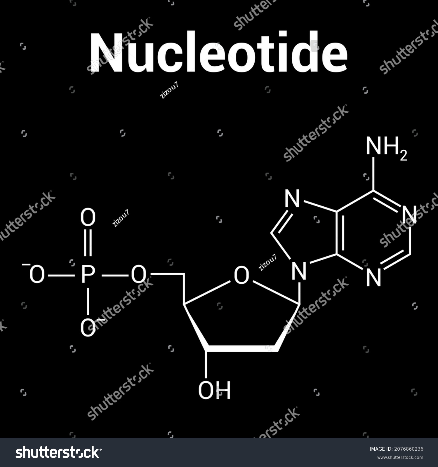 Chemical Structure Dna Nucleotide Stock Vector (Royalty Free ... Chemical Structure Dna Nucleotide Stock Vector (Royalty Free ...