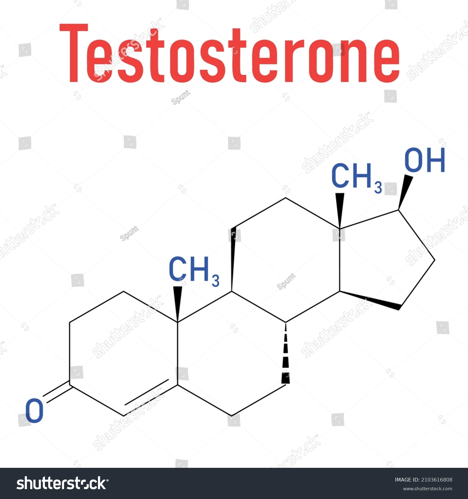 Testosterone Male Sex Hormone Androgen Molecule Stock Vector Royalty