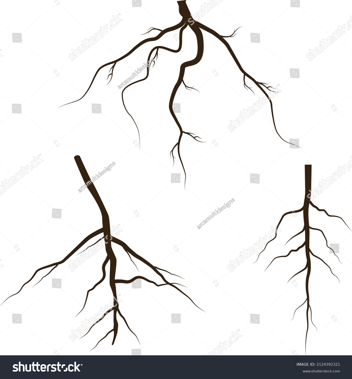 Root Silhouette Vector Set Tree Root Stock Vector (Royalty Free ...