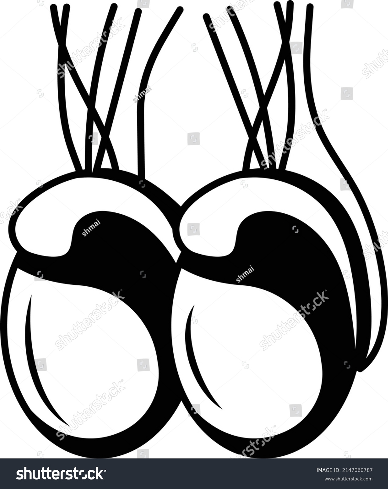 Human Scrotum Testes Concept Vector Line Vetor Stock Livre De Direitos 2147060787 Shutterstock