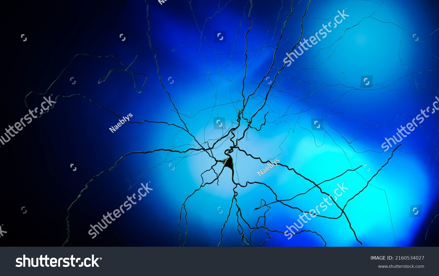 Synapse Connections Structure That Permits Neuron Stock Illustration ... Synapse Connections Structure That Permits Neuron Stock Illustration ...